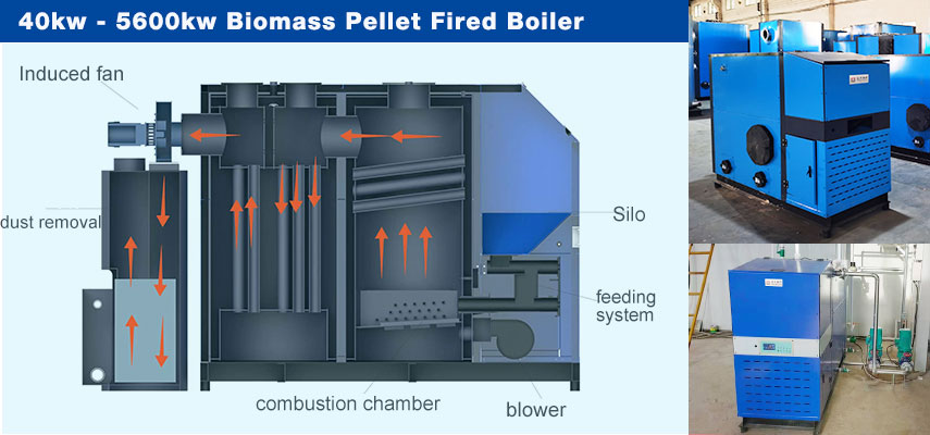 CWHS biomass steam water heating boiler-Henan Yuanda Boiler Corporation Ltd